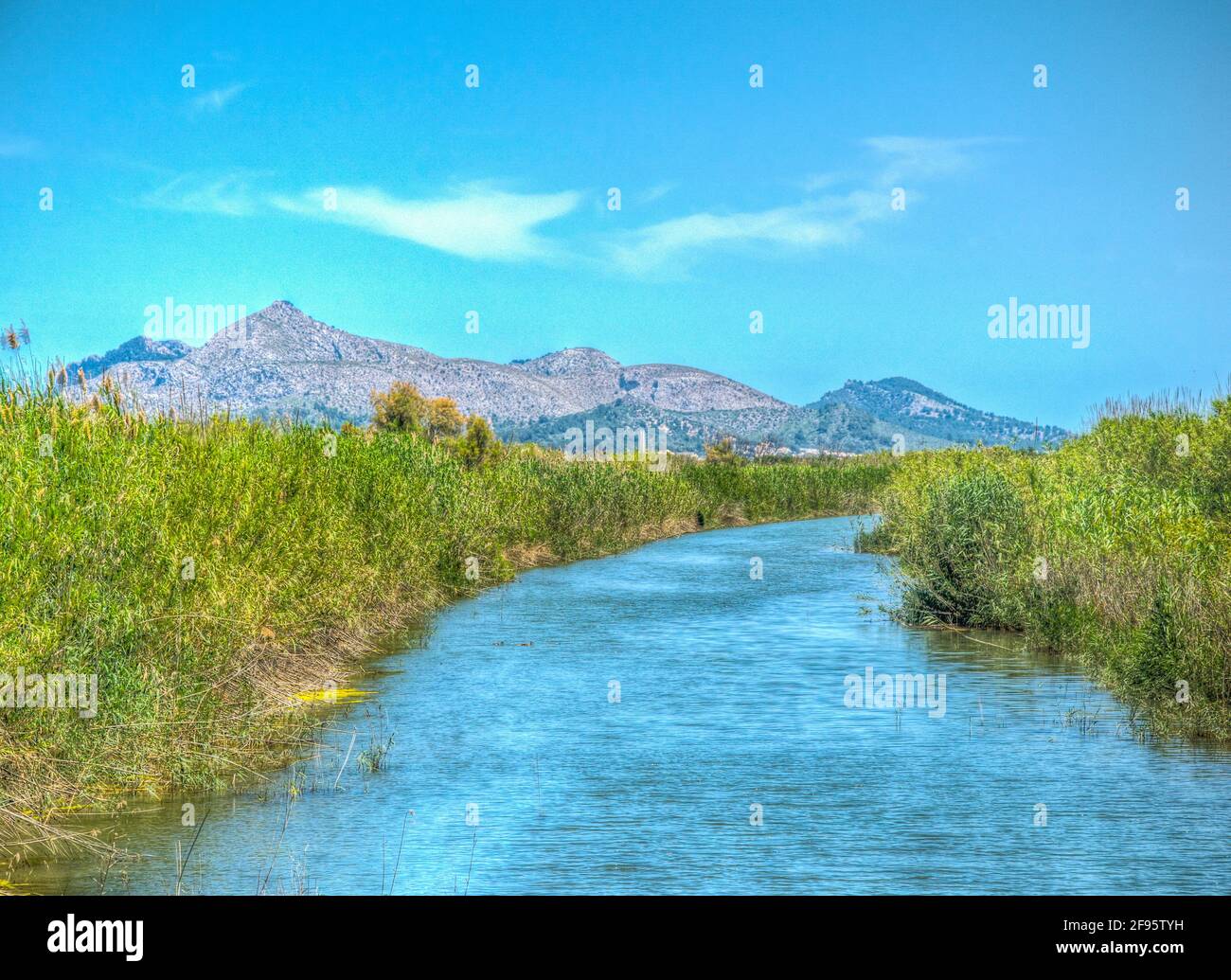 Marshes of Albufera national park at Mallorca, Spain Stock Photo - Alamy