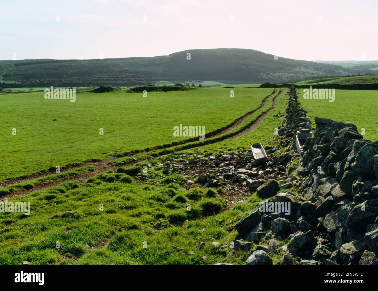 View W of Mid Gleniron I multiphase prehistoric chambered tomb ...