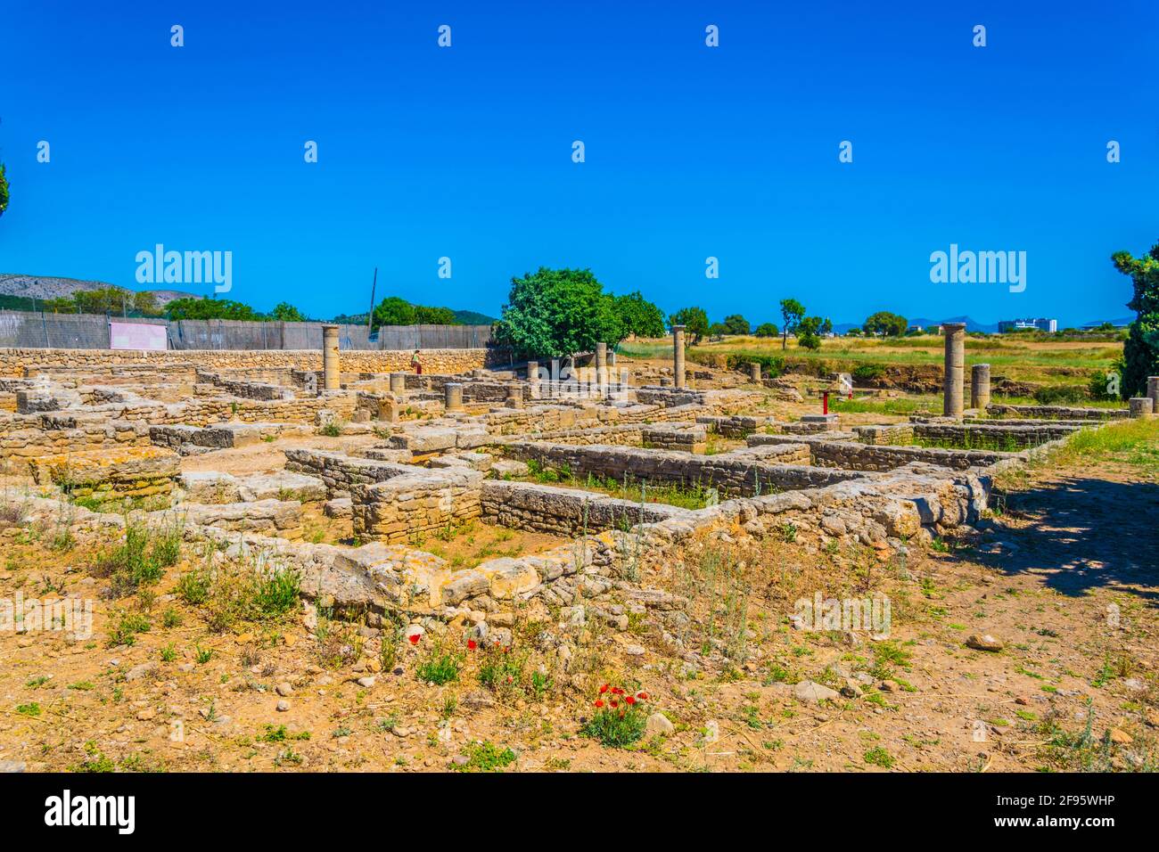 Pollentia hi-res stock photography and images - Alamy
