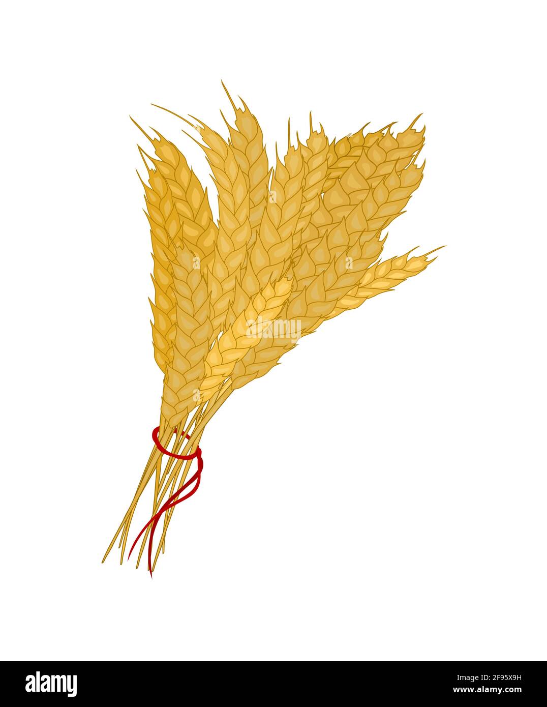 Bunch of wheat. Reap of spiked grain heads. Sheaf of crop ears. vector ...
