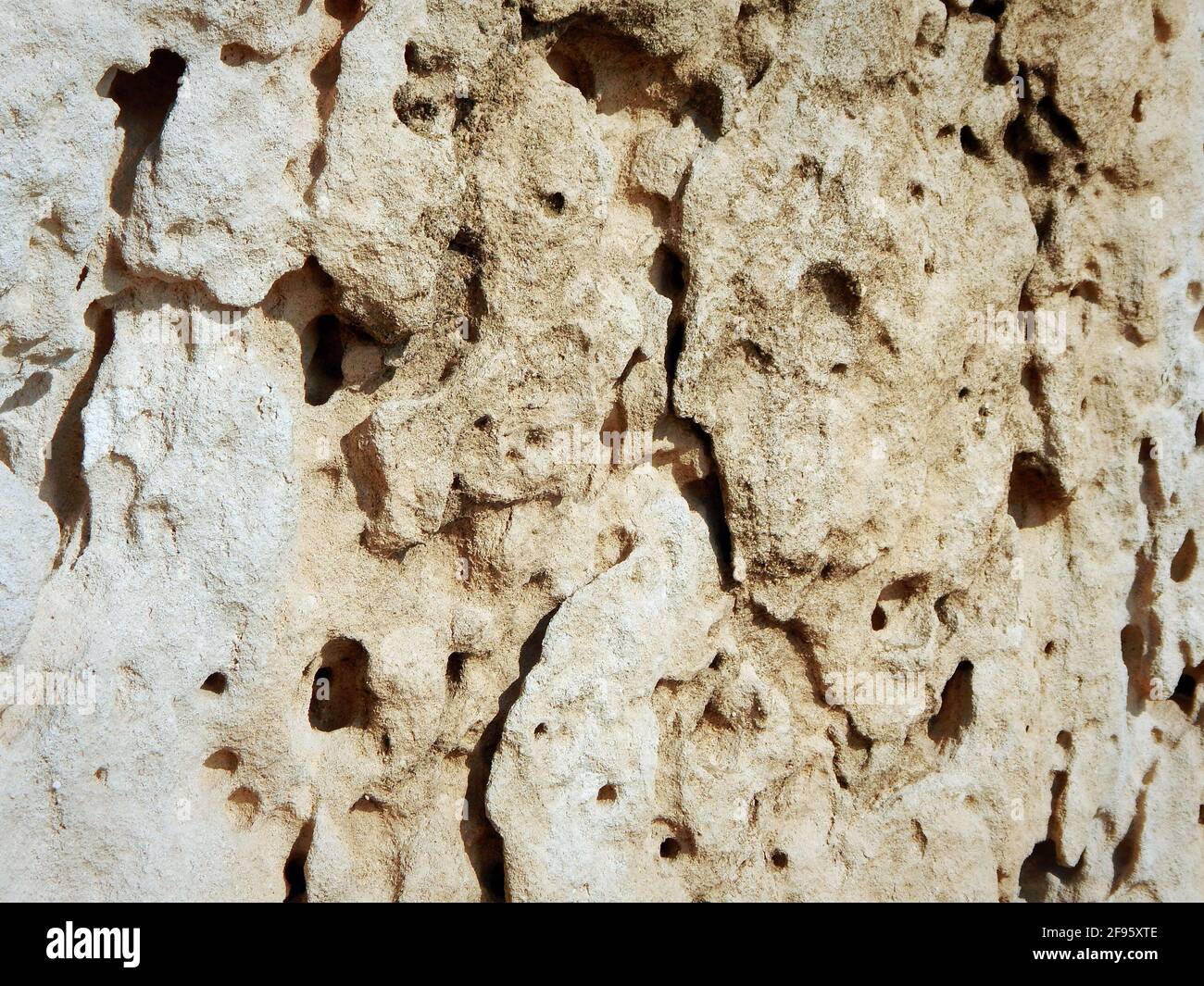 Surface sandy rock. Rocky shore of the Caspian Sea Stock Photo - Alamy