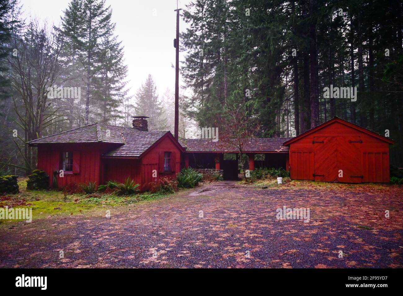 Rustic Red Cabin In National Forest Stock Photo - Alamy
