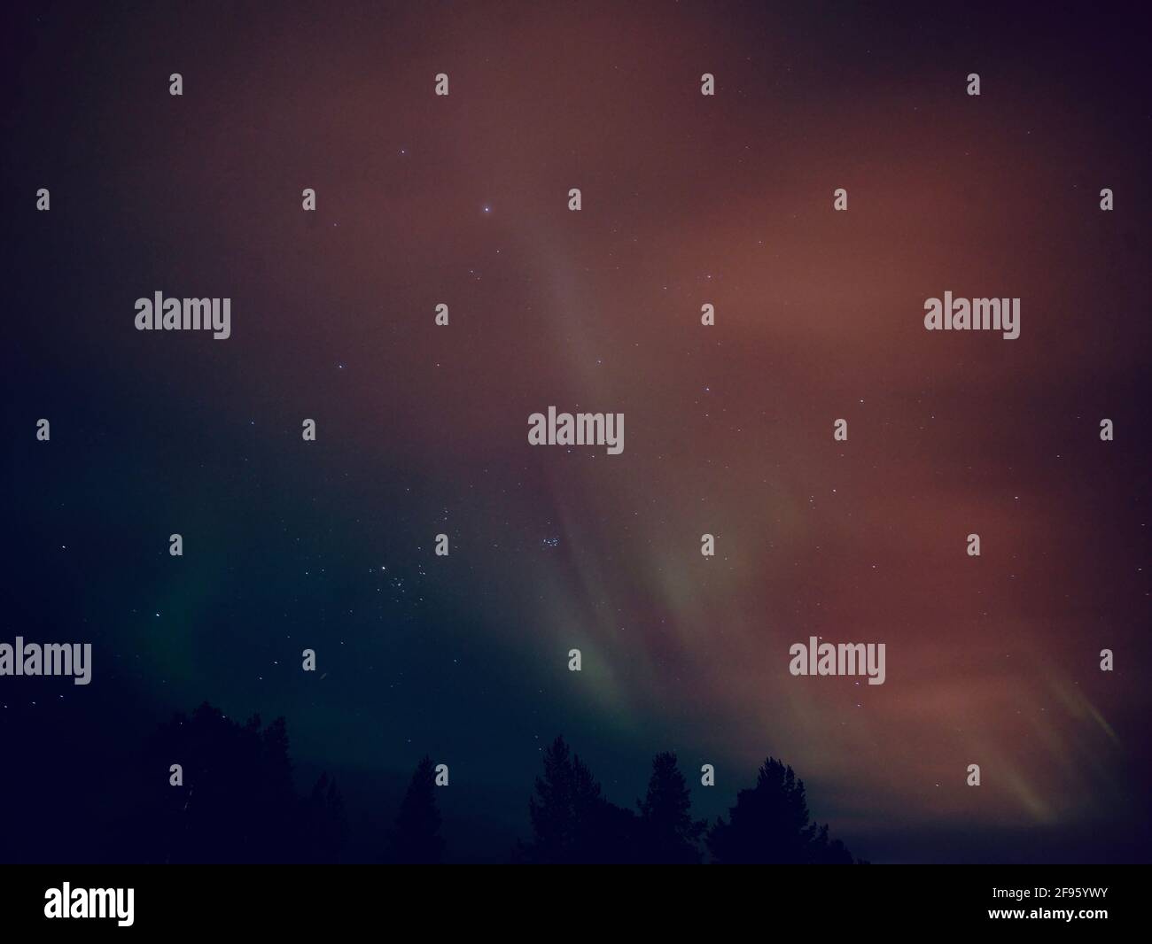 Northern lights in night sky Stock Photo - Alamy