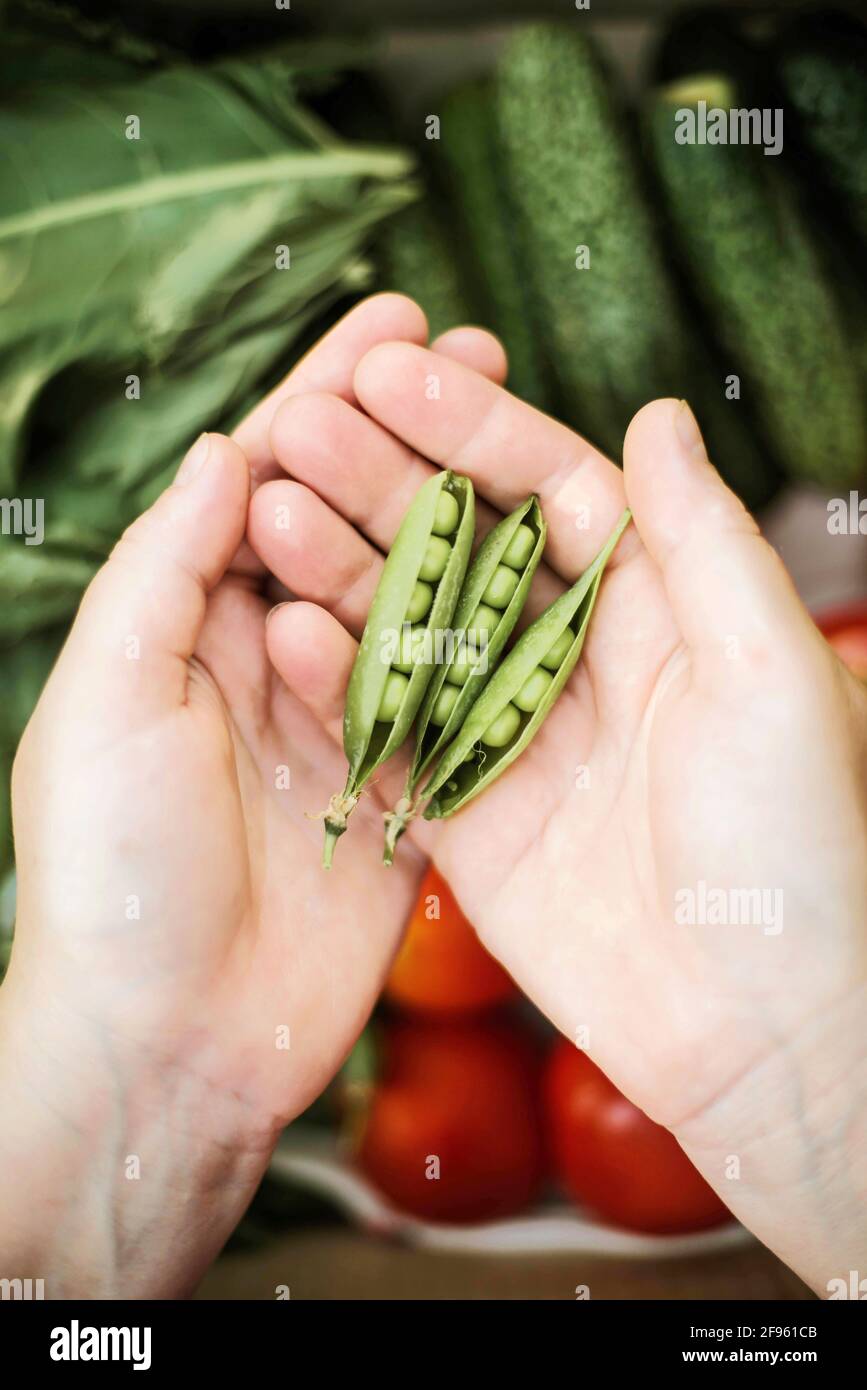 Healthy garden hi-res stock photography and images - Alamy