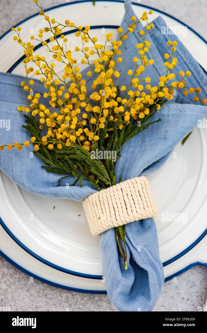 Spring mimosa flowers and table setting Stock Photo - Alamy