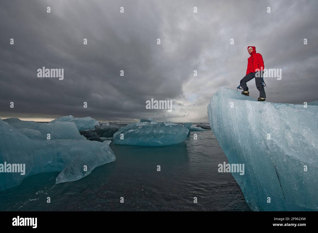 woman climbing iceberg on the south coast of Iceland using ice pick ...
