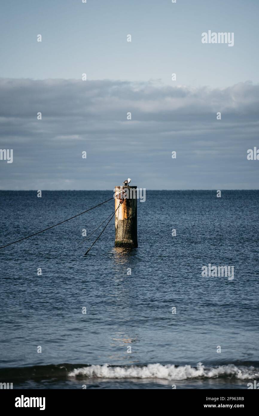 Vertical shot of fishing nets on a metal pole in the sea Stock Photo ...