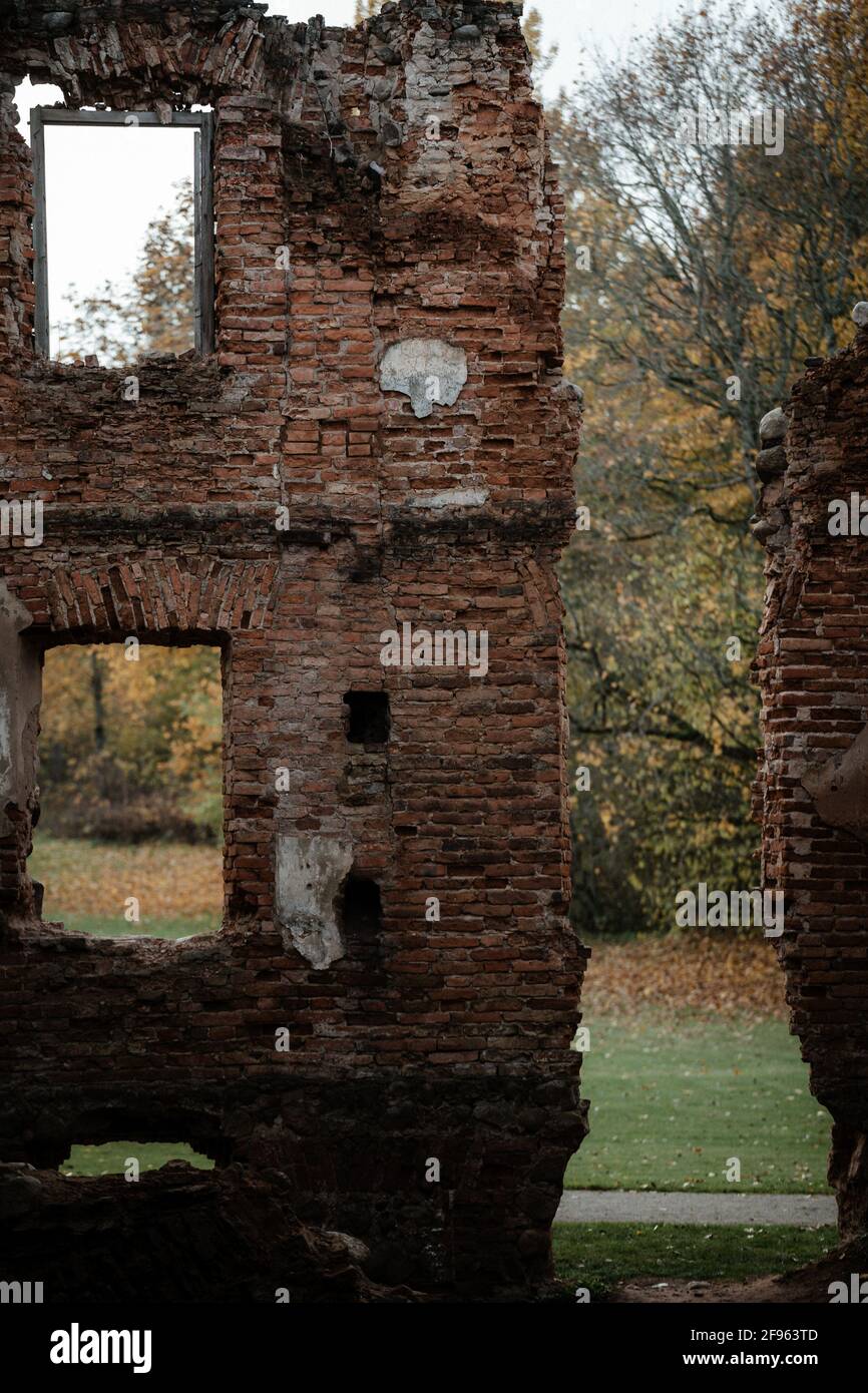 Balga hi-res stock photography and images - Alamy