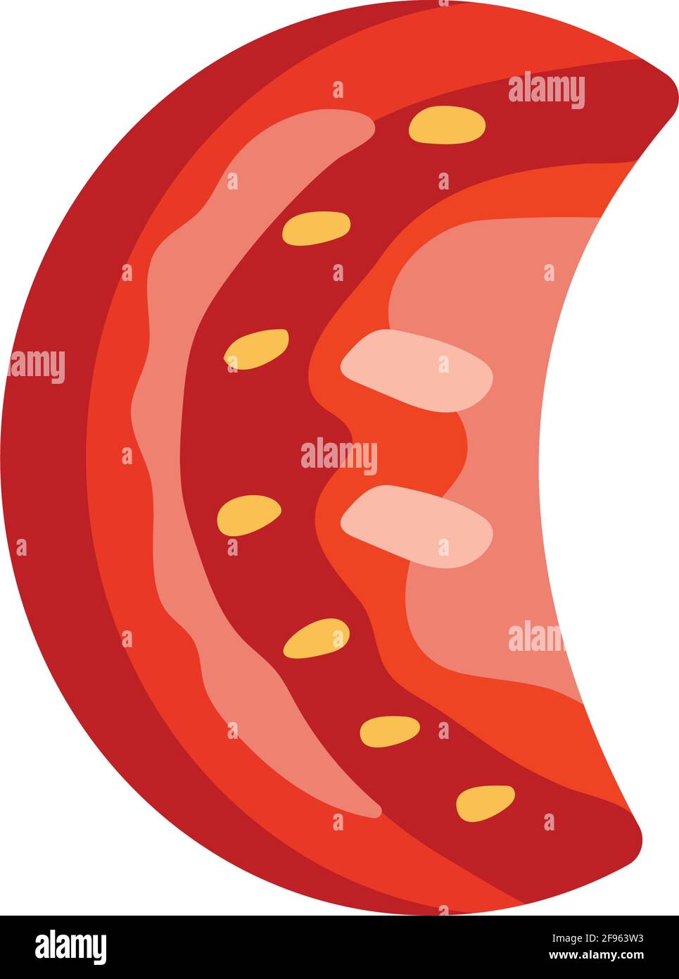 tomato half vegetable Stock Vector Image & Art - Alamy