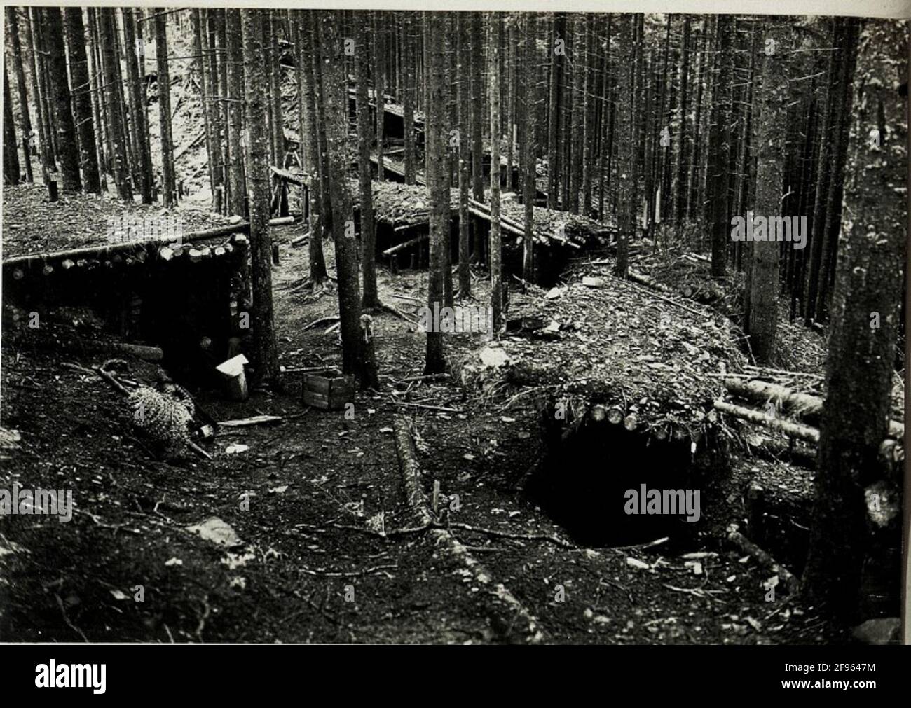 Makowka. (Own rifle stands Stock Photo - Alamy