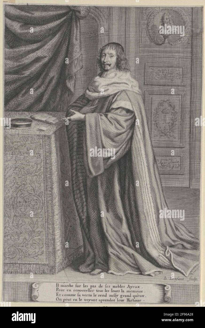 Pompone hi-res stock photography and images - Alamy