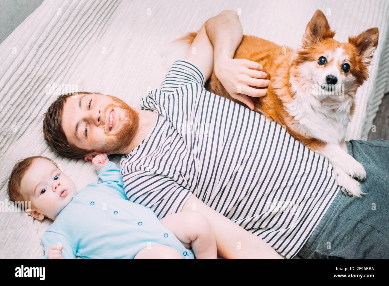 Dad and baby are lying on the bed with the dog. Close-up portrait Stock ...
