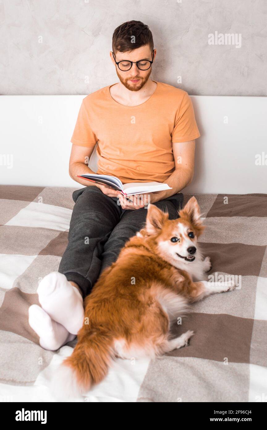 Dog reading in bed hi-res stock photography and images - Alamy