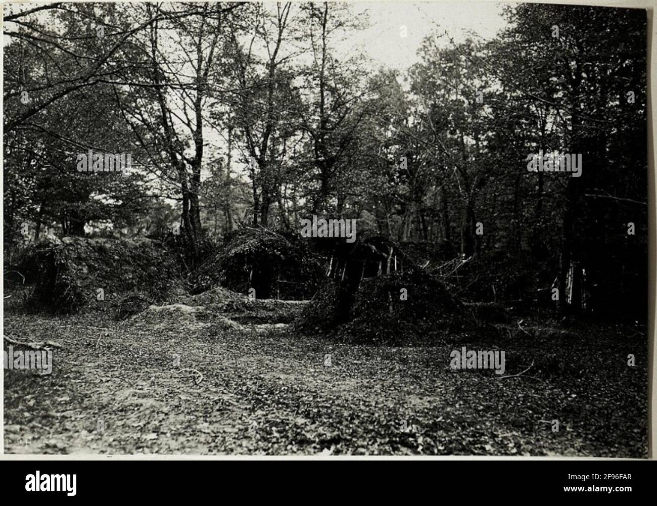 At the Zlota Lipa.Se-own bearing huts in the Walde Östl.Panowice Stock ...