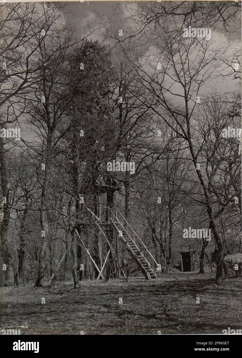 Kote 311, artillery observation stand in the room of the 25th infantry ...