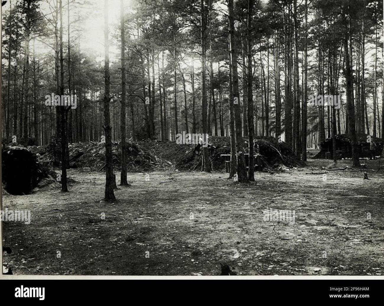 Cossack camp hi-res stock photography and images - Alamy