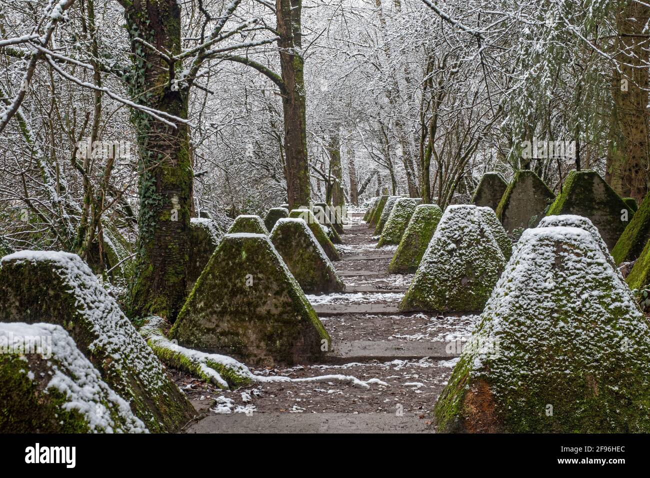 Siegfried line hi-res stock photography and images - Alamy