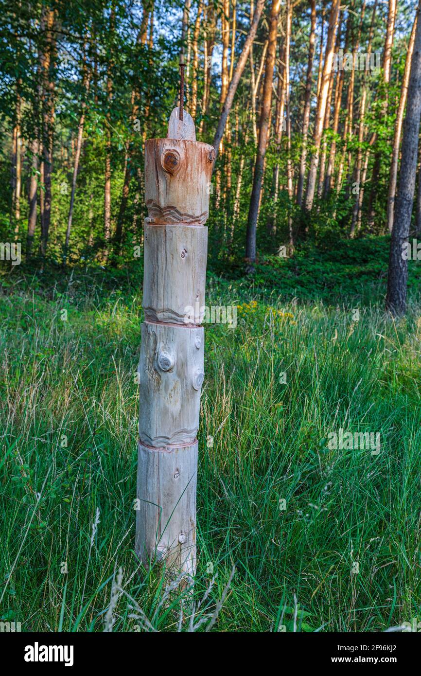 Salt lick block hi-res stock photography and images - Alamy