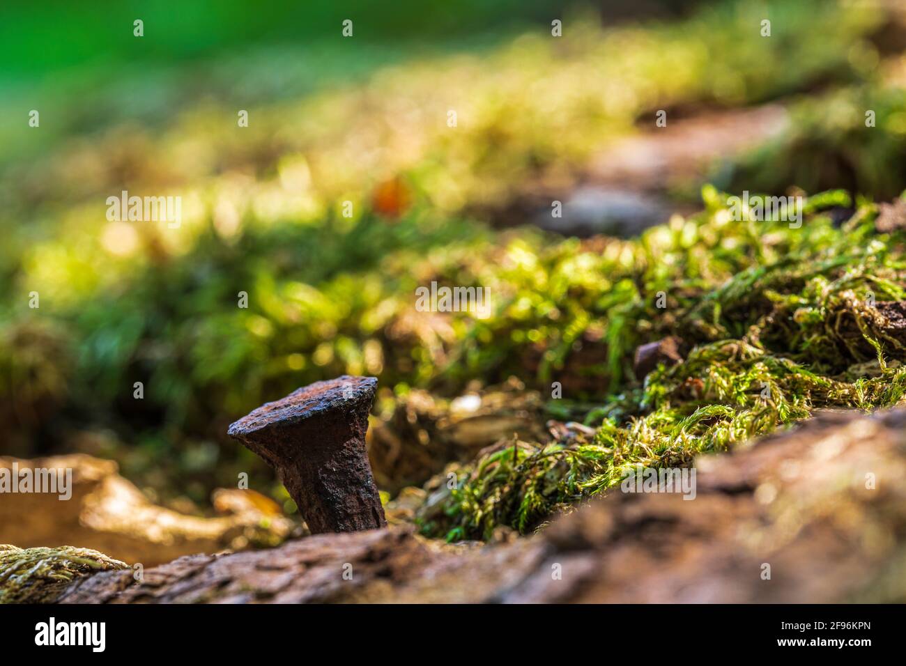 Rusty Nail High Resolution Stock Photography and Images - Alamy