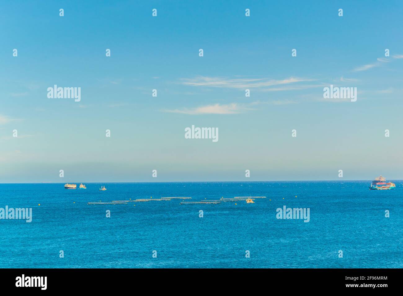 Malta fish industry hi-res stock photography and images - Alamy