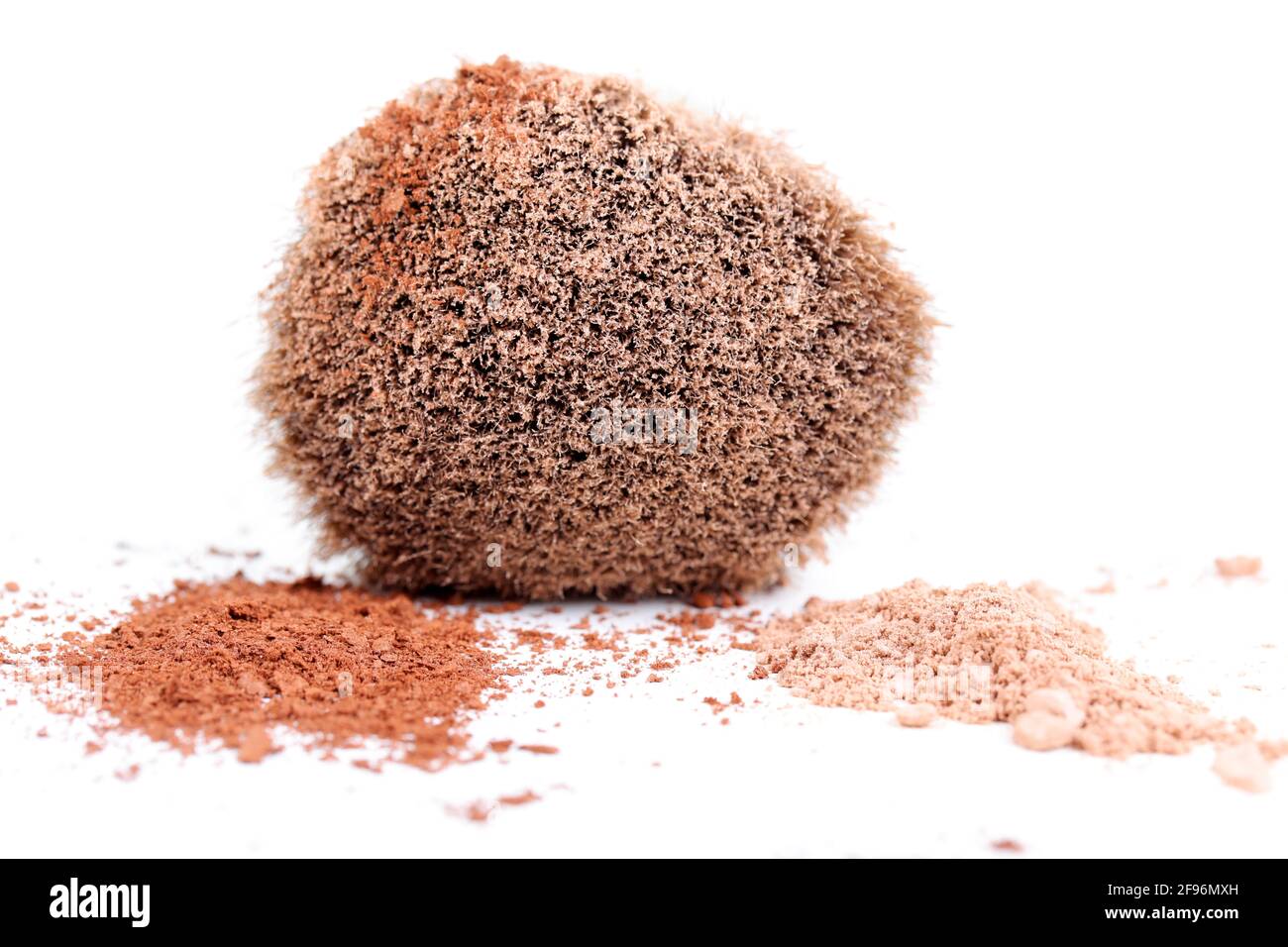 Bronze tan color Cut Out Stock Images & Pictures - Alamy