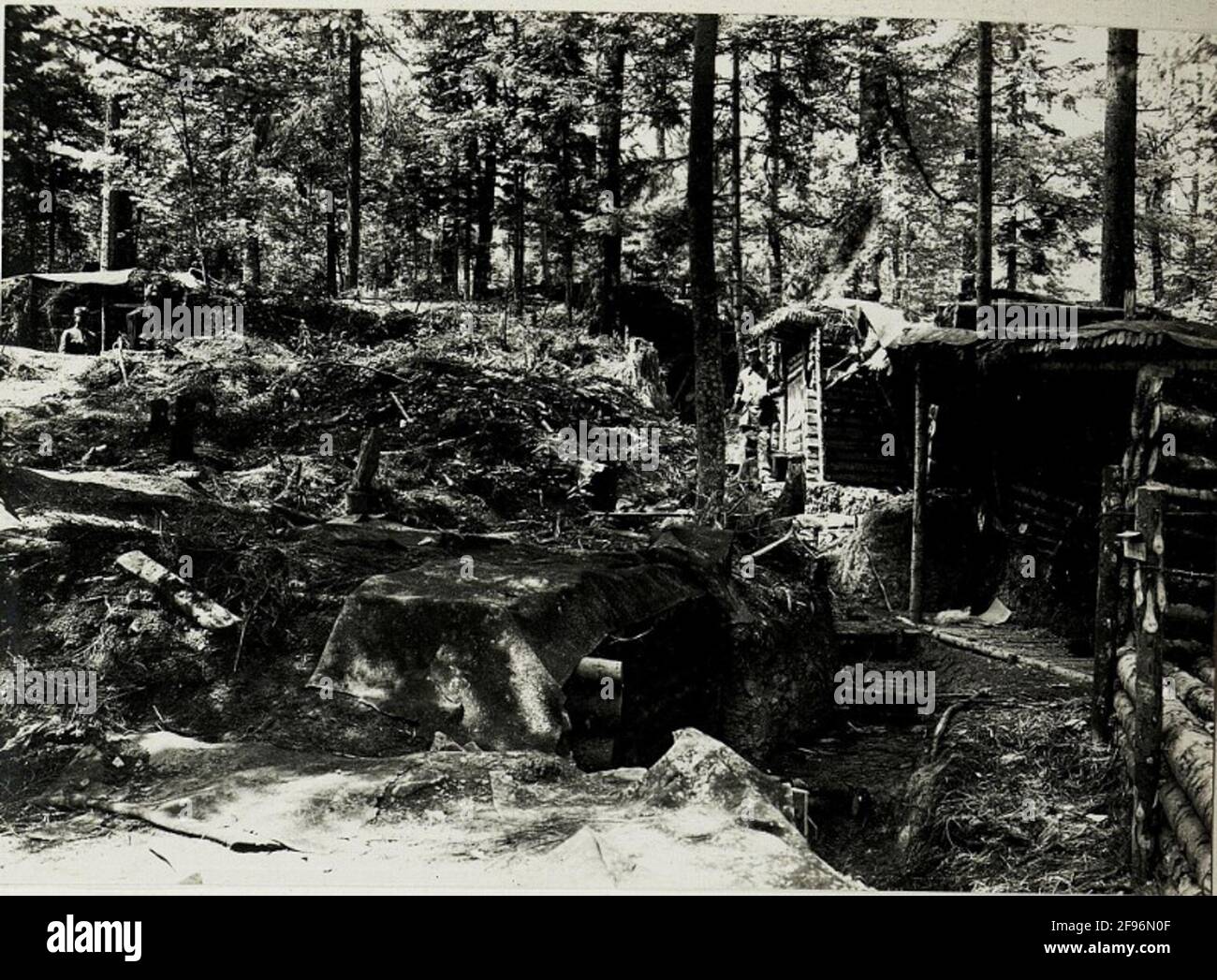 Forest trenches hi-res stock photography and images - Alamy