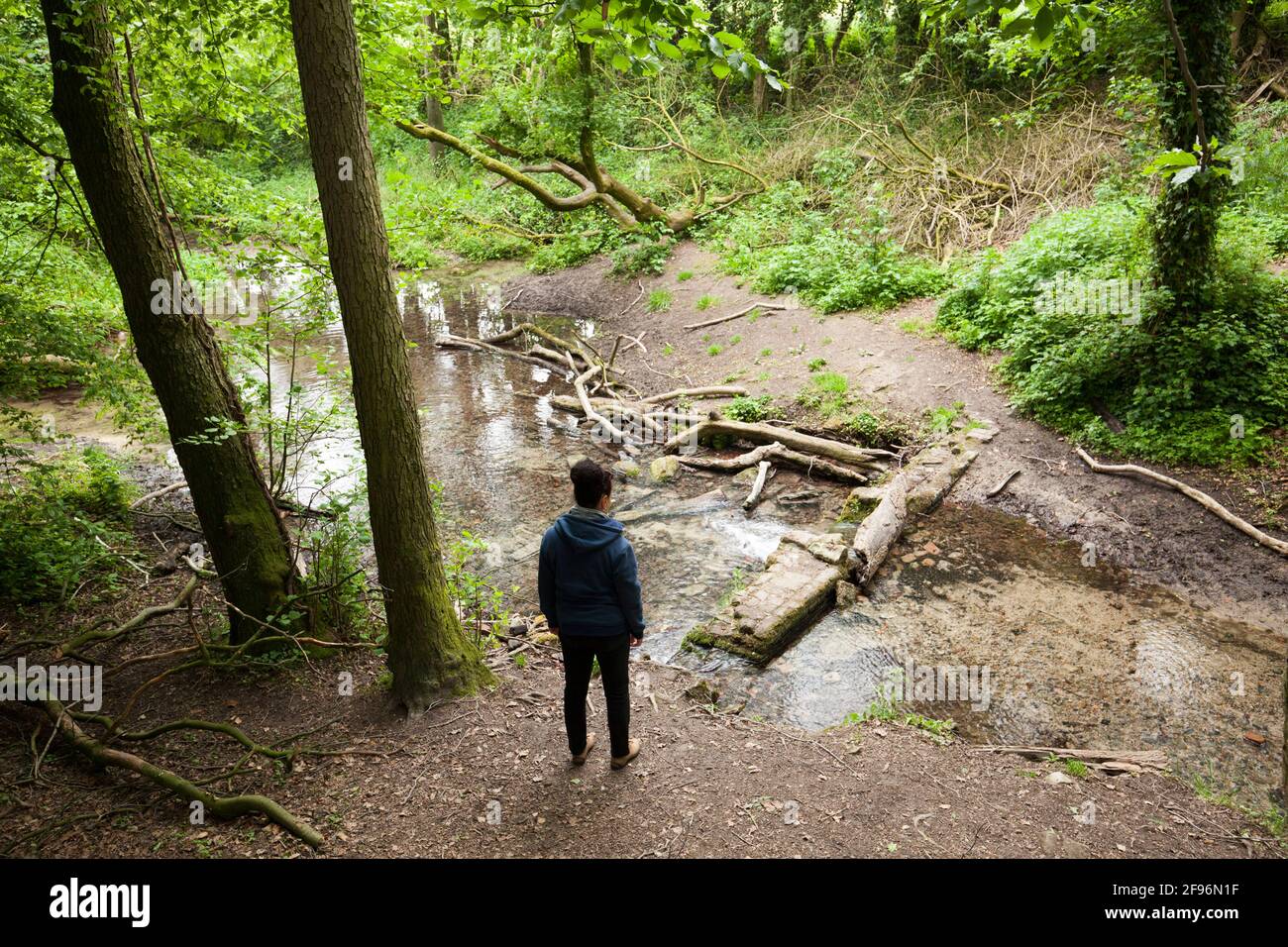 Source of the Stever, Stevertal Stock Photo - Alamy
