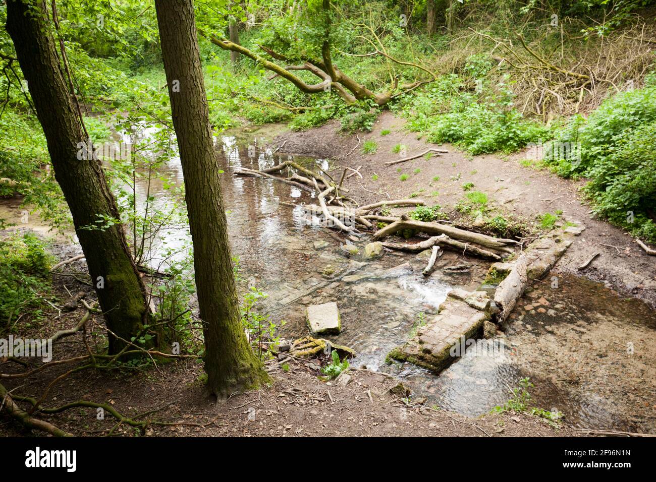 Source of the stever hi-res stock photography and images - Alamy