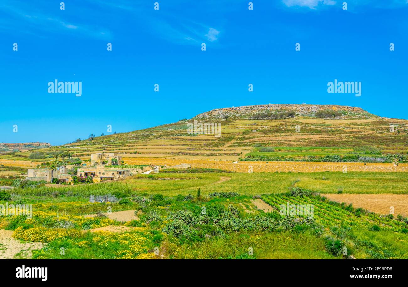 Countryside on Gozo, Malta Stock Photo - Alamy