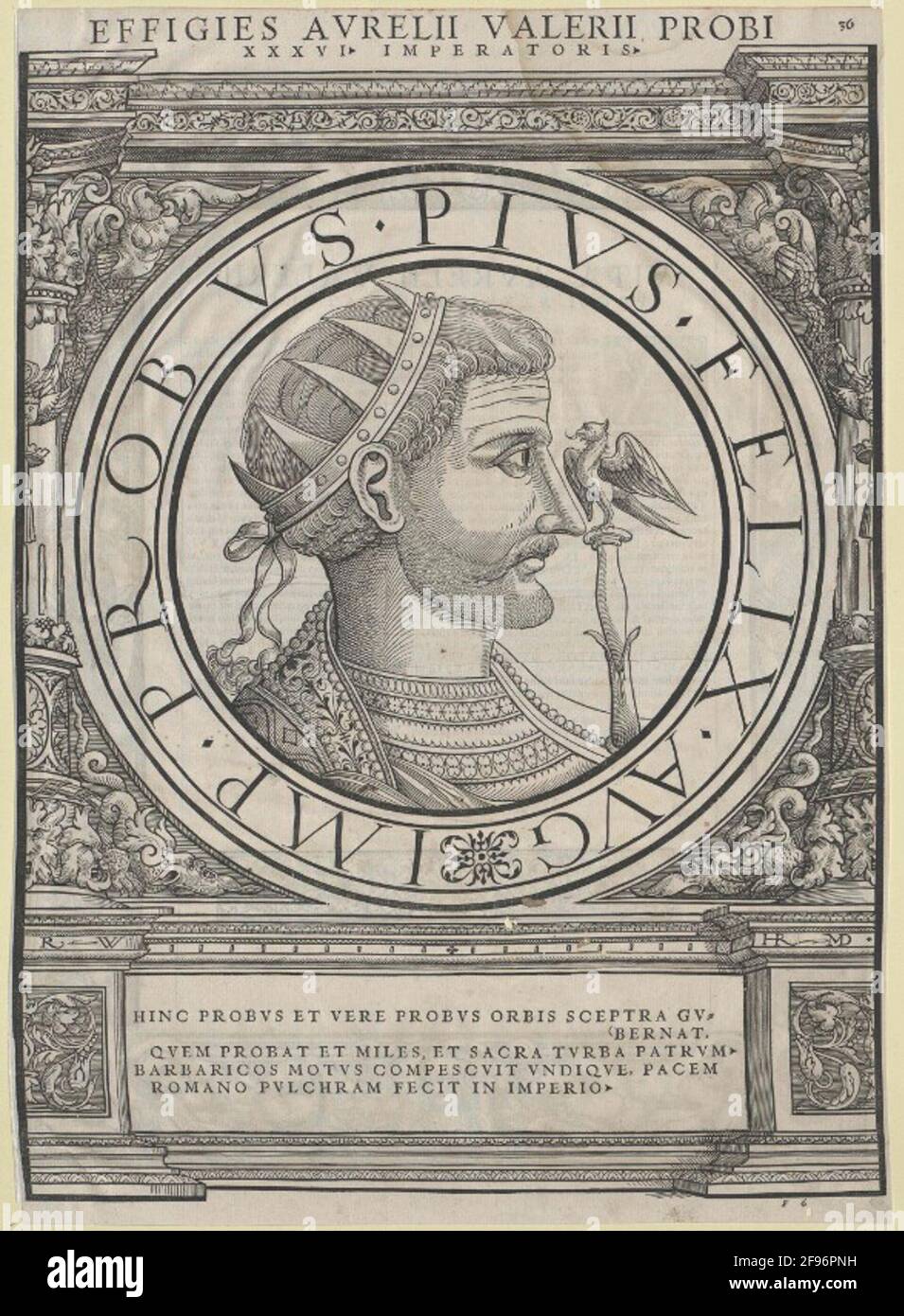 Emperor probus hi-res stock photography and images - Alamy