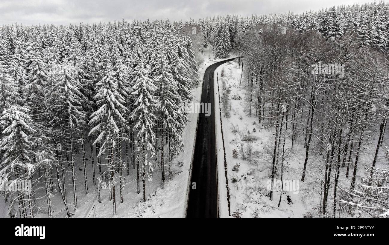 Road on the Erbeskopf (816m), highest mountain in the Hunsrück, Saar ...