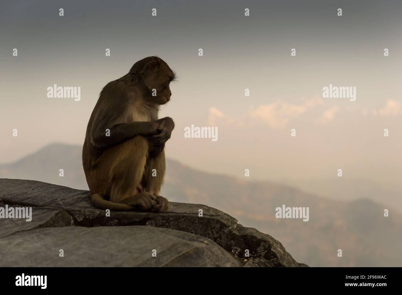 the Kalika Mandir Temple Stock Photo - Alamy
