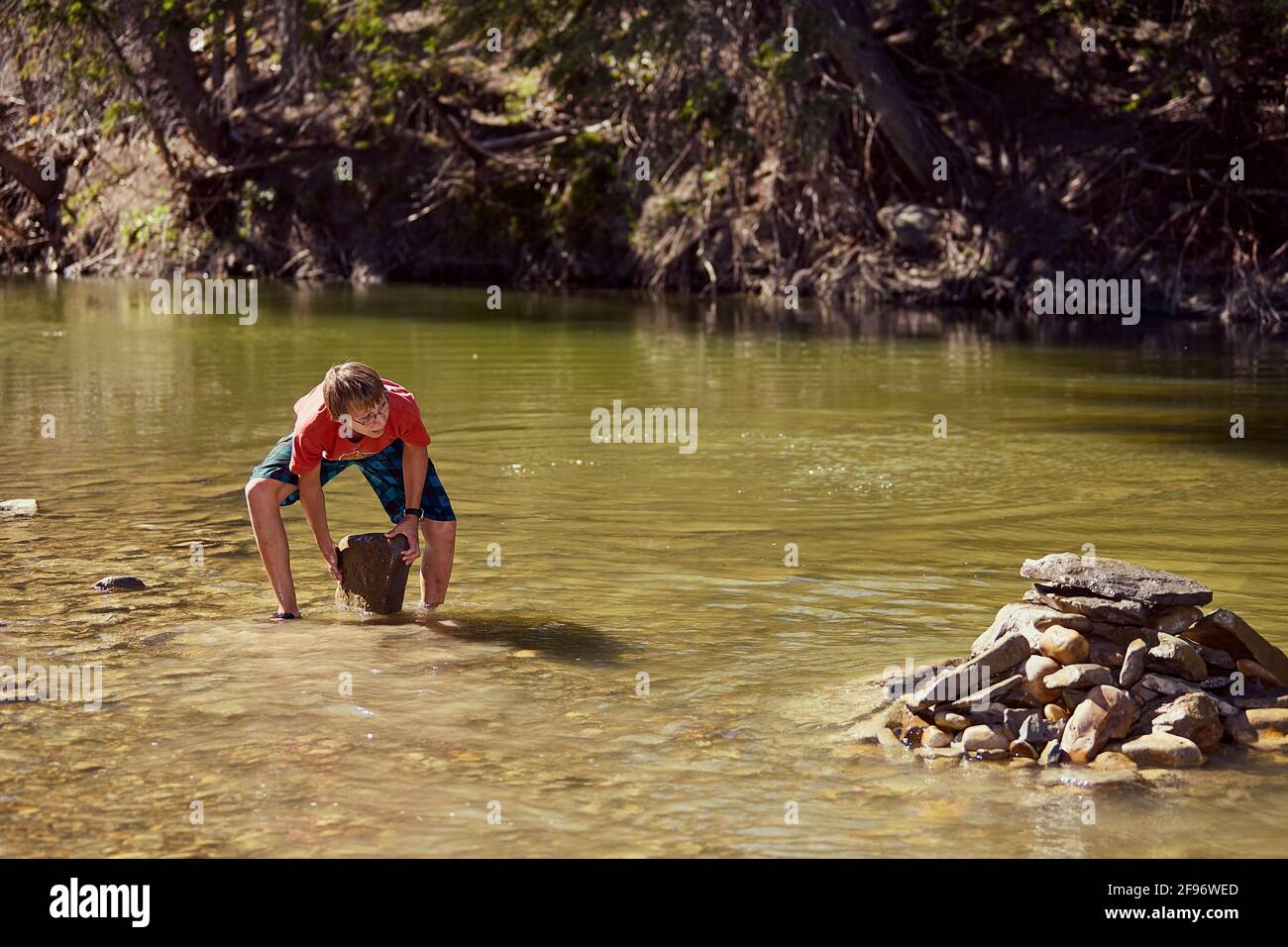 Roaming free and living wild, playing in the creek and soaking up ...