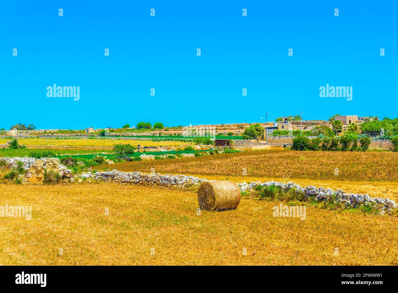 Countryside on Malta Stock Photo - Alamy