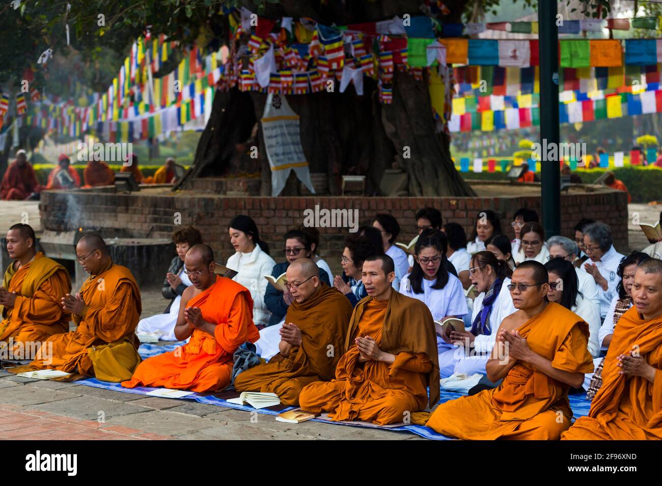 Chhat hi-res stock photography and images - Alamy