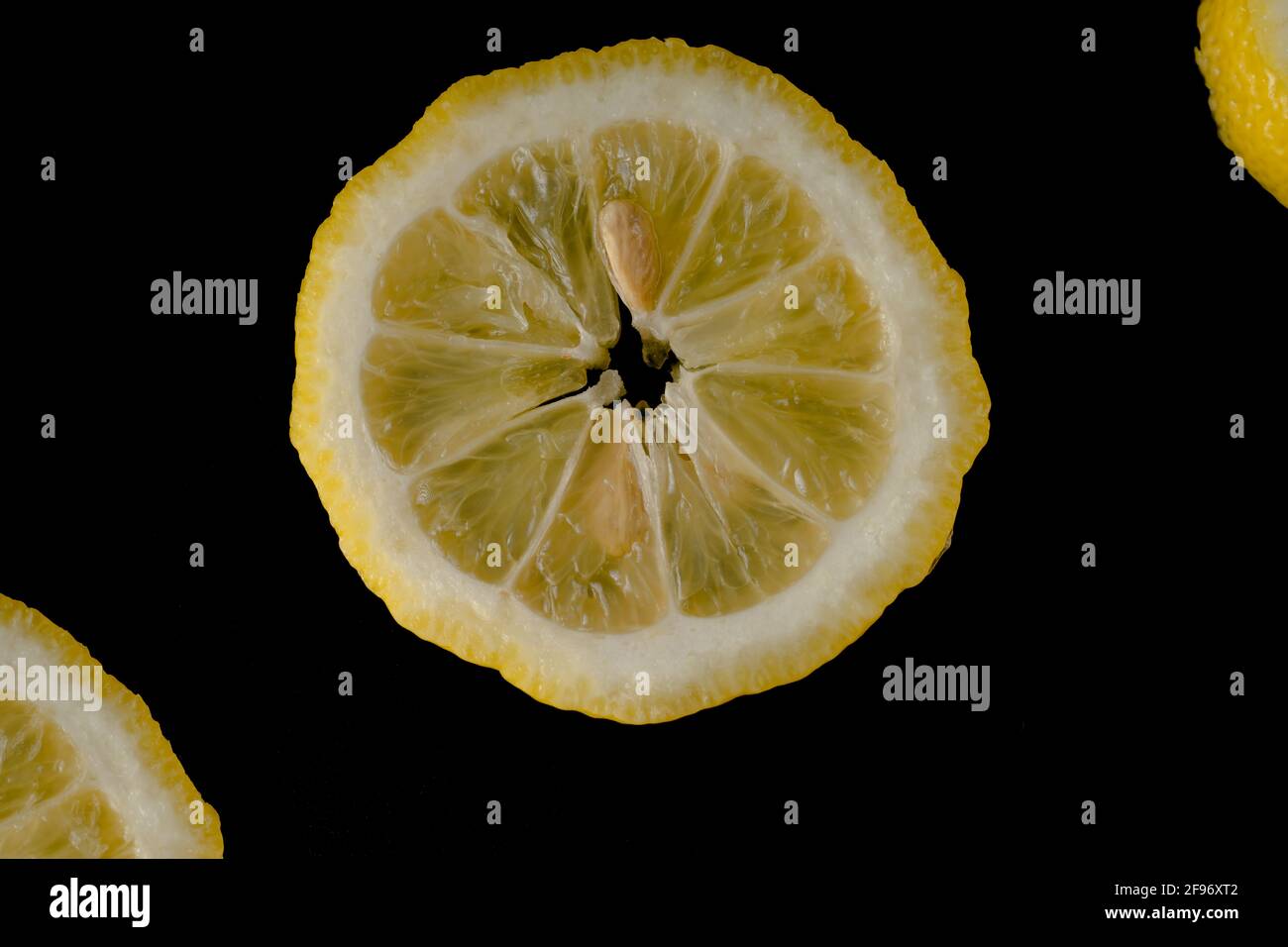 Five lemon slices lined up in a semicircle on a black background Stock ...
