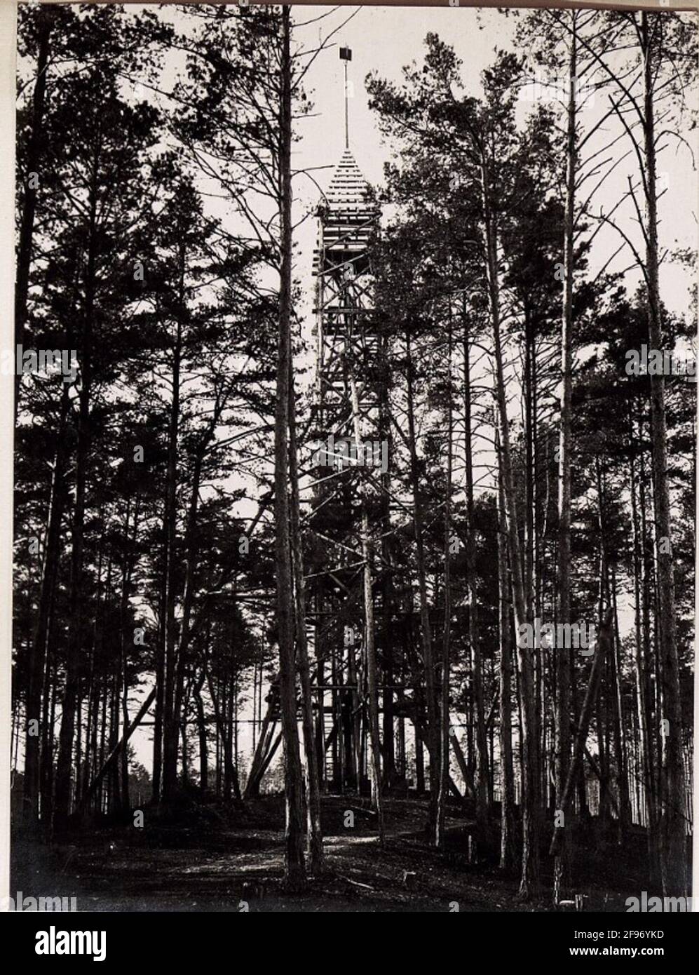 Babin hi-res stock photography and images - Alamy