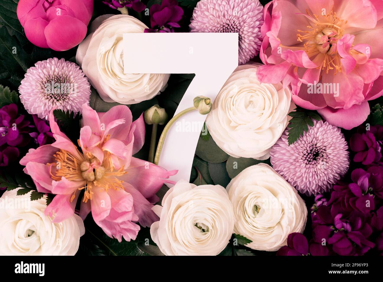 Layout with colorful flowers, leaves and number seven. Chrysanthemum ...