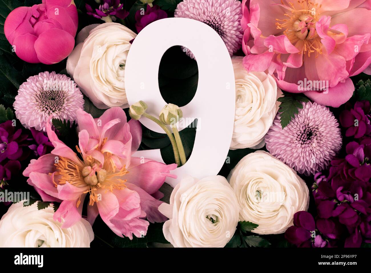 Layout with colorful flowers, leaves and number nine. Chrysanthemum ...