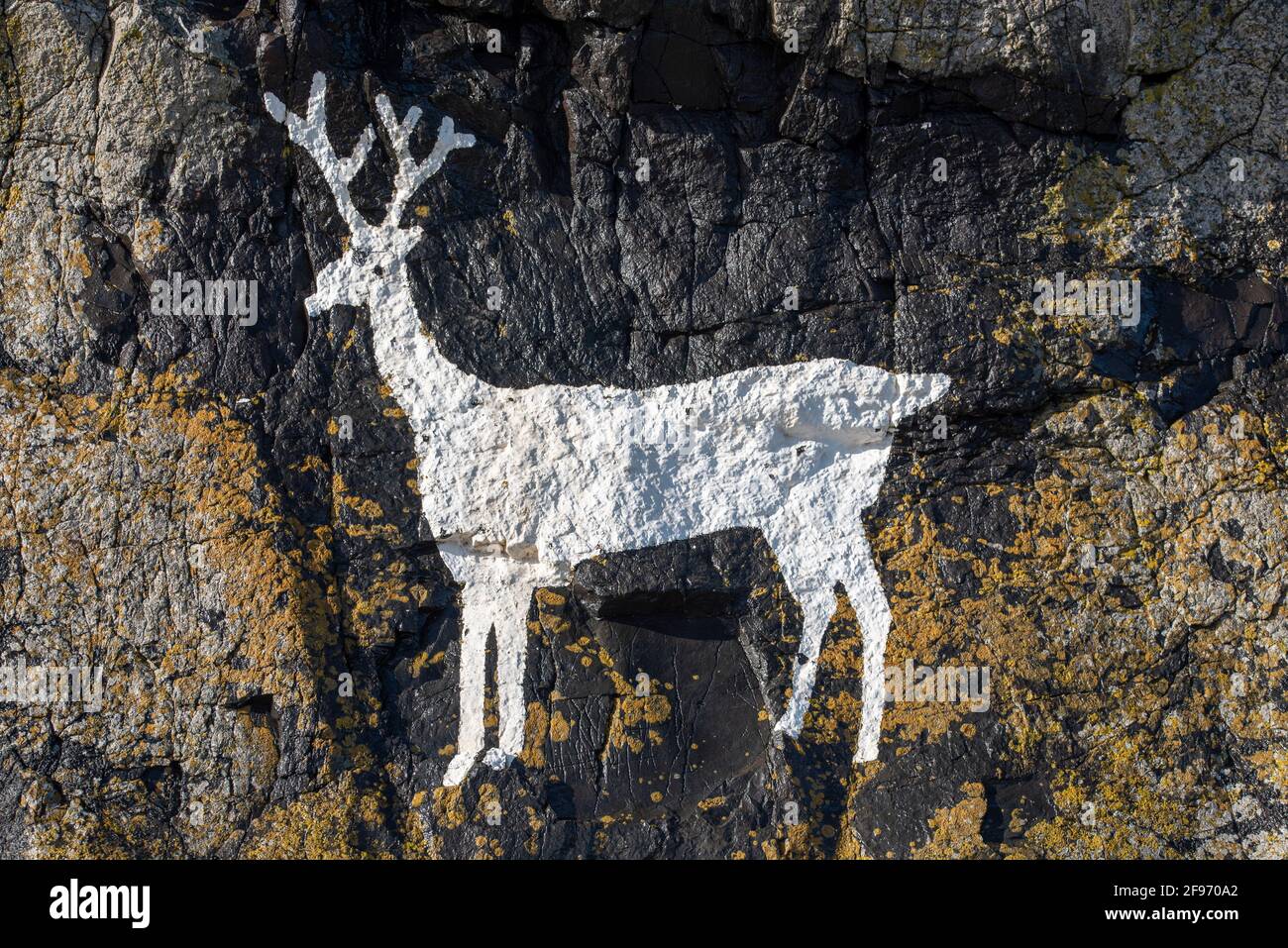 Stag rock bamburgh hi-res stock photography and images - Alamy
