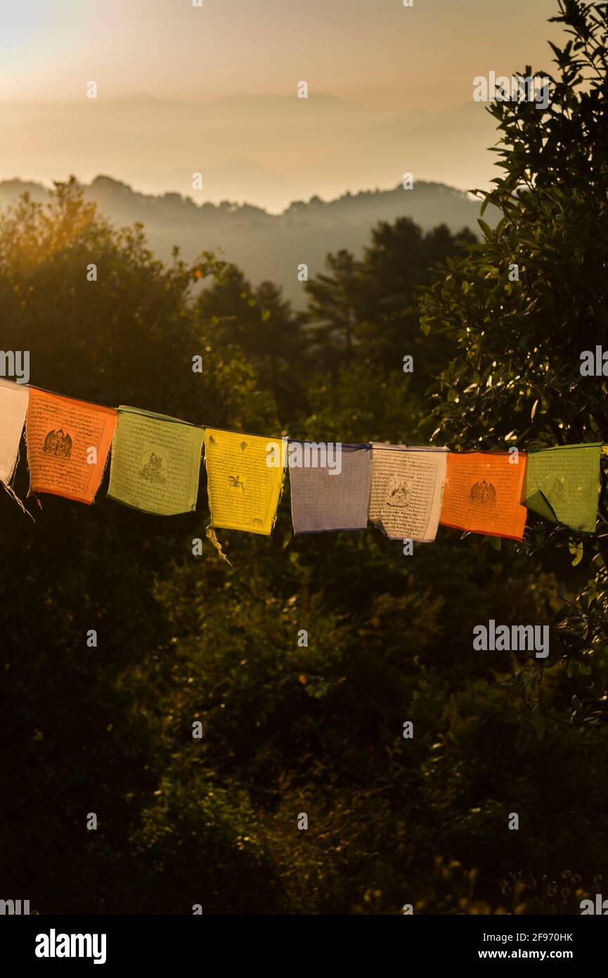 View from the observation tower on the Himalayas Stock Photo - Alamy