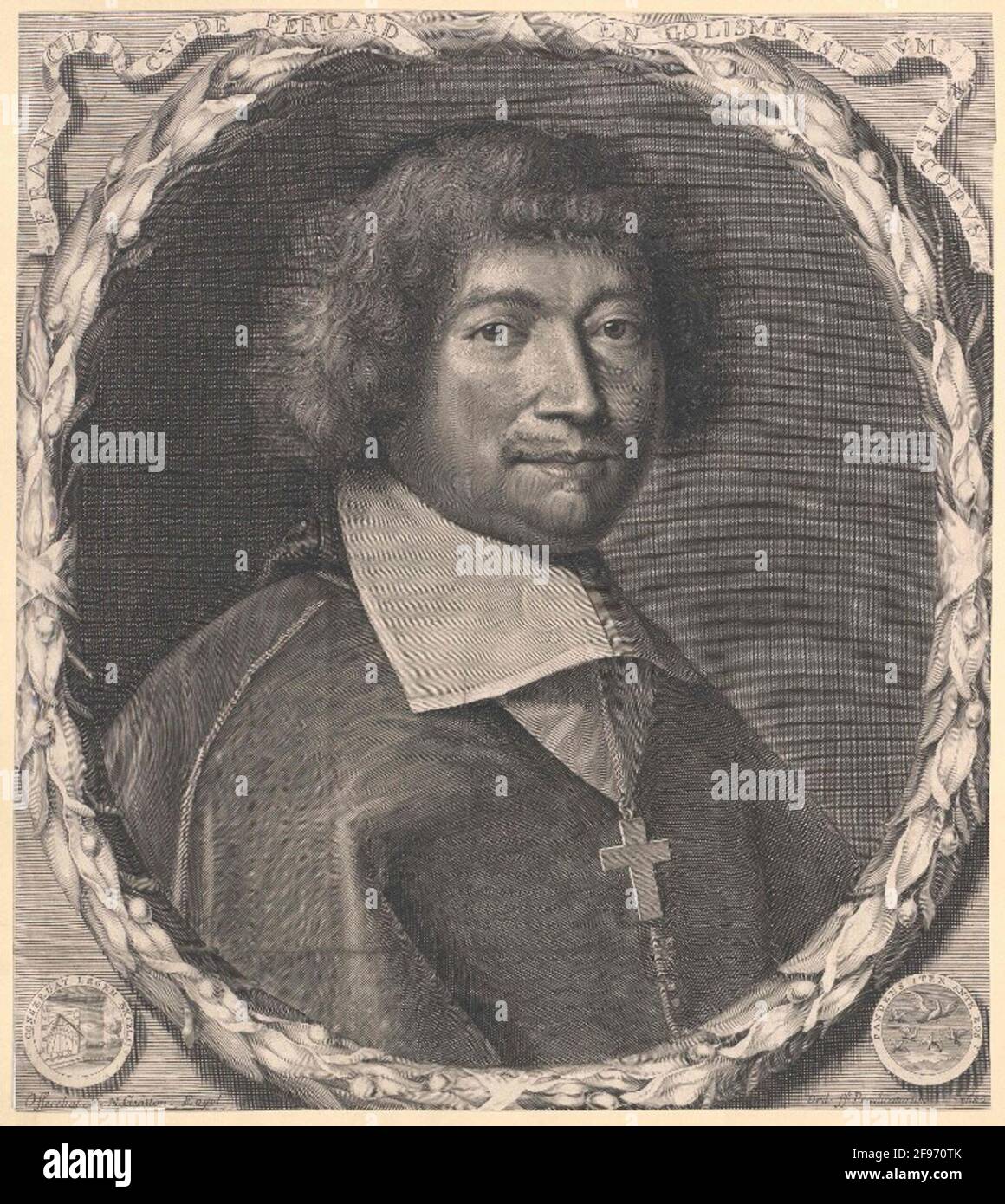 Pericard hi-res stock photography and images - Alamy