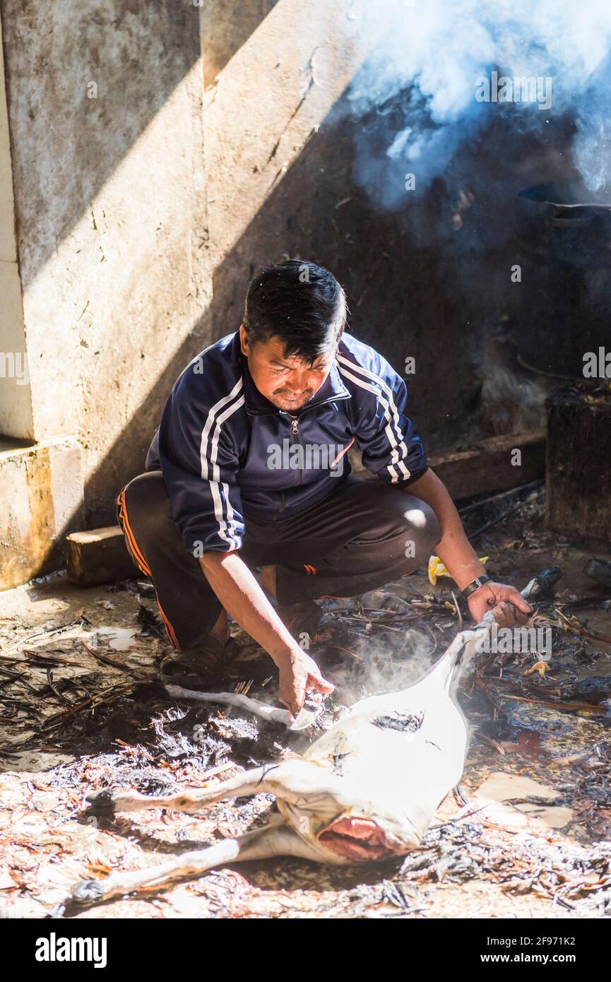 Dakshinkali temple hi-res stock photography and images - Alamy