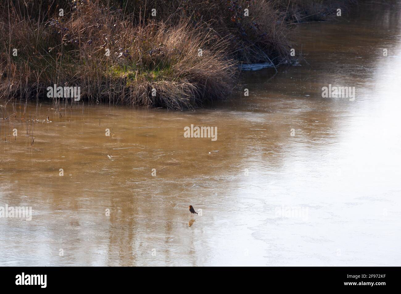 Marano lagoon hi-res stock photography and images - Alamy