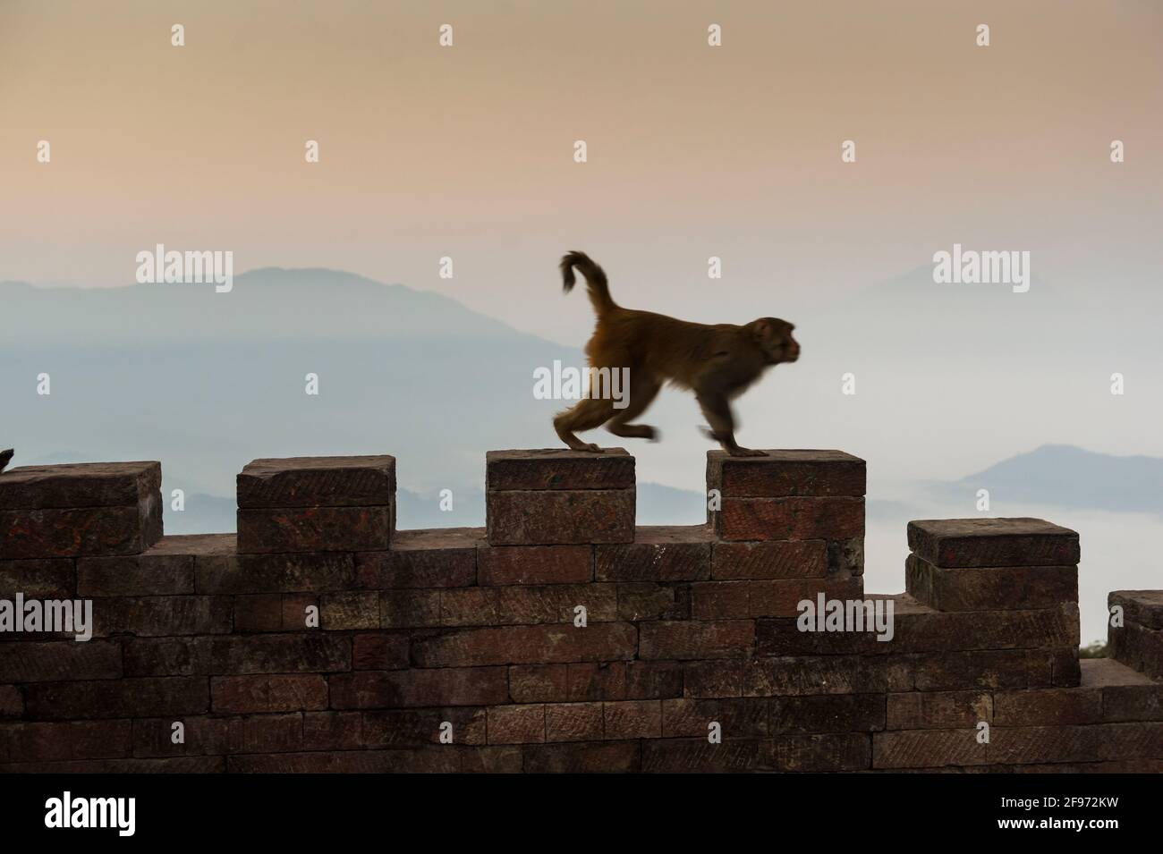 The kalika mandir temple hi-res stock photography and images - Alamy