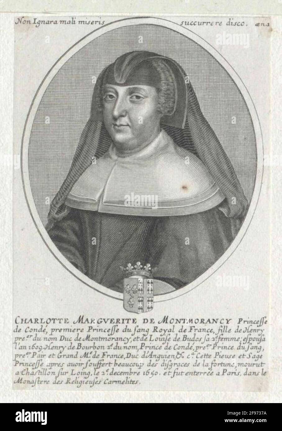 Charlotte de montmorency hi-res stock photography and images - Alamy