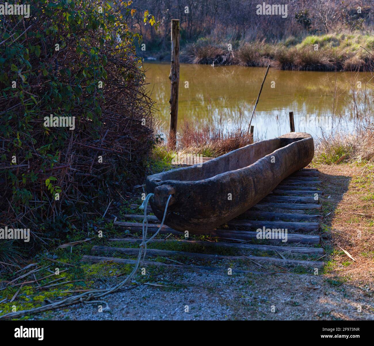 View of a ancient wooden canoe next to the river in the Nature reserve ...