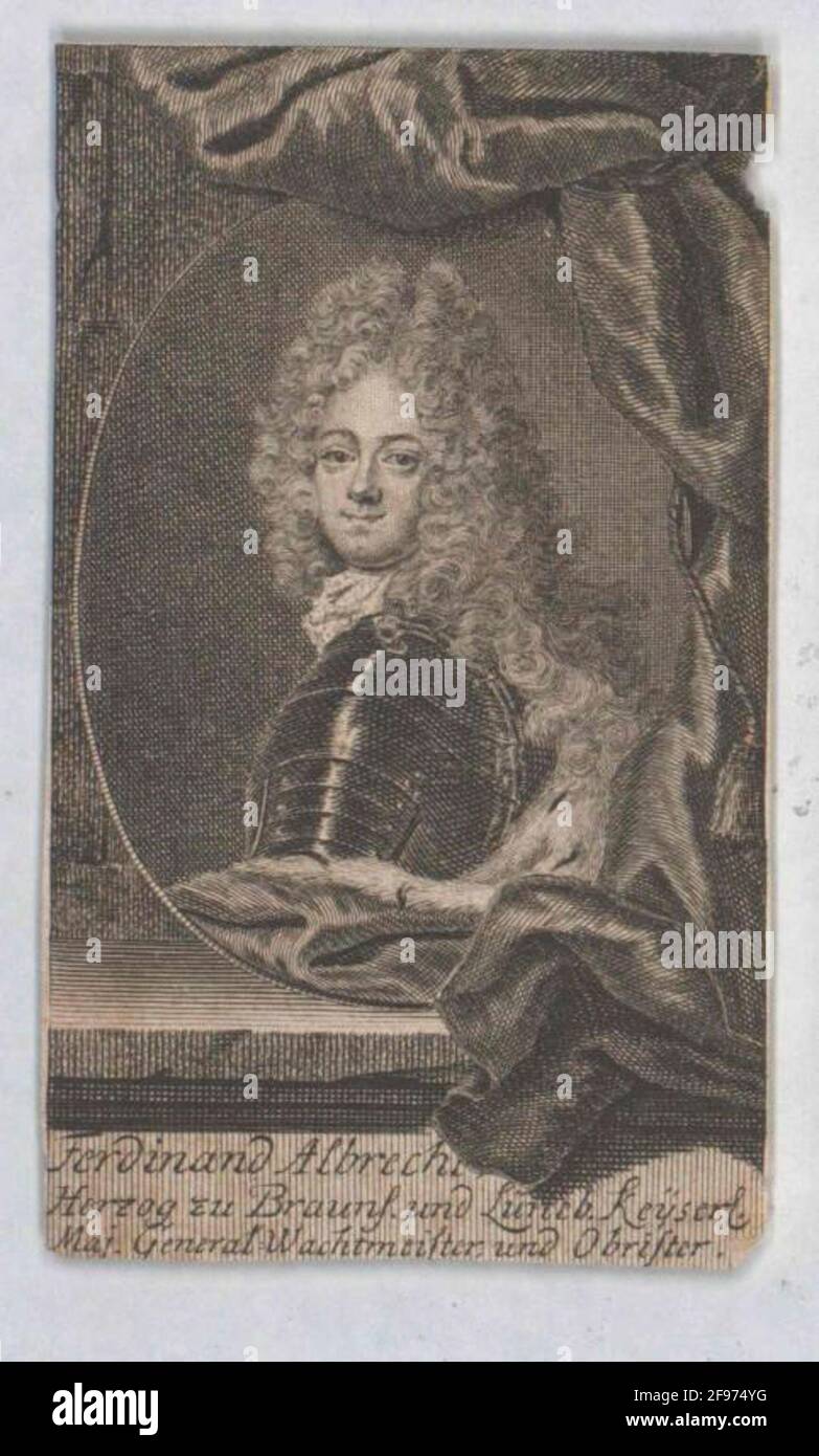 Duke albrecht ii hi-res stock photography and images - Alamy