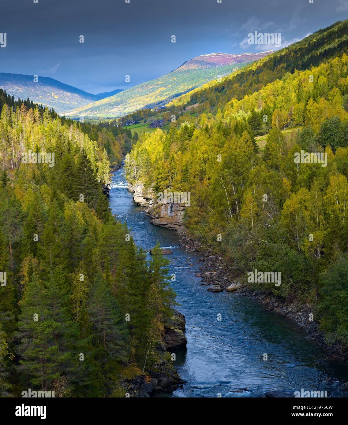 Europe, Norway, Oppland, autumn in the Sjoa valley Stock Photo - Alamy