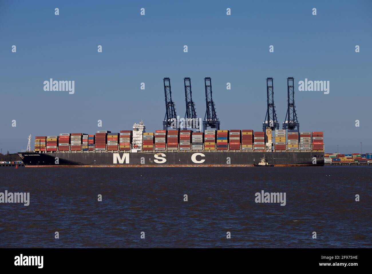 Container ship MSC Alexandra docking at the Port of Felixstowe, Suffolk ...